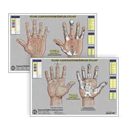 Hand Therapy Charts BC-112 – Helio usa